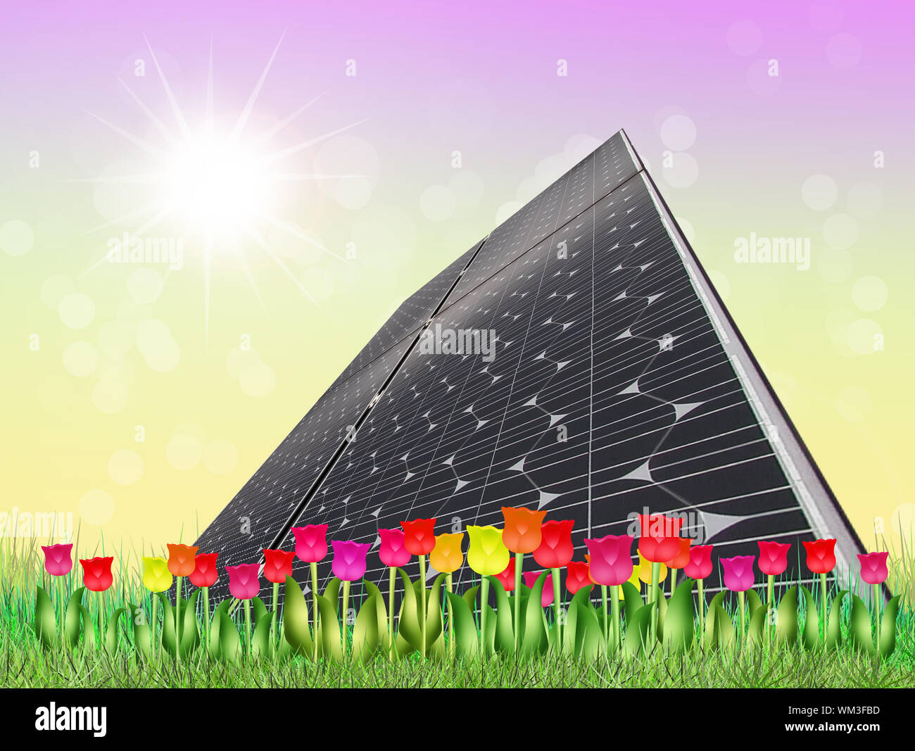 Solar panels field of flowers hi-res stock photography and images - Alamy
