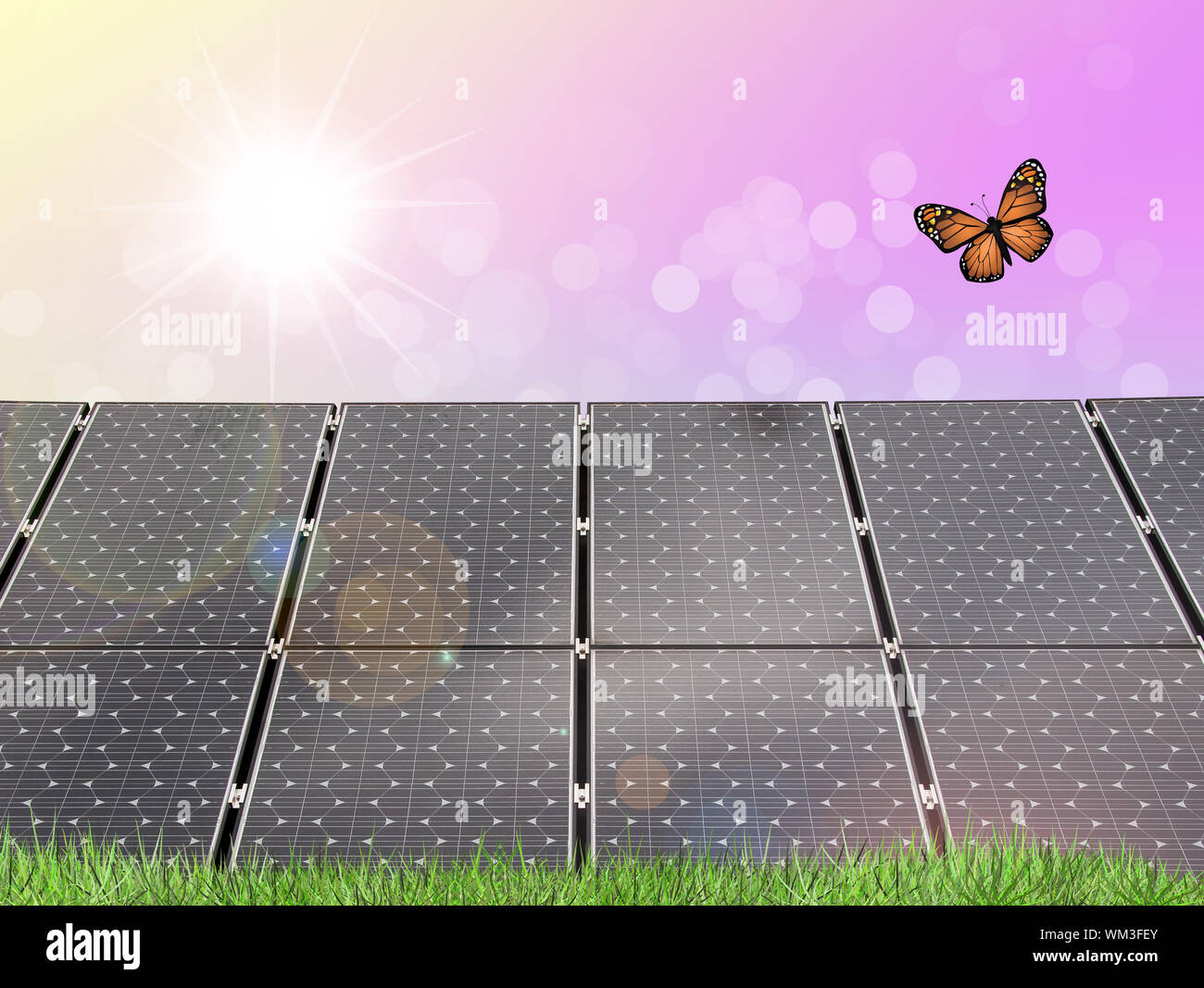 Solar Panels Field Of Flowers High Resolution Stock Photography and ...