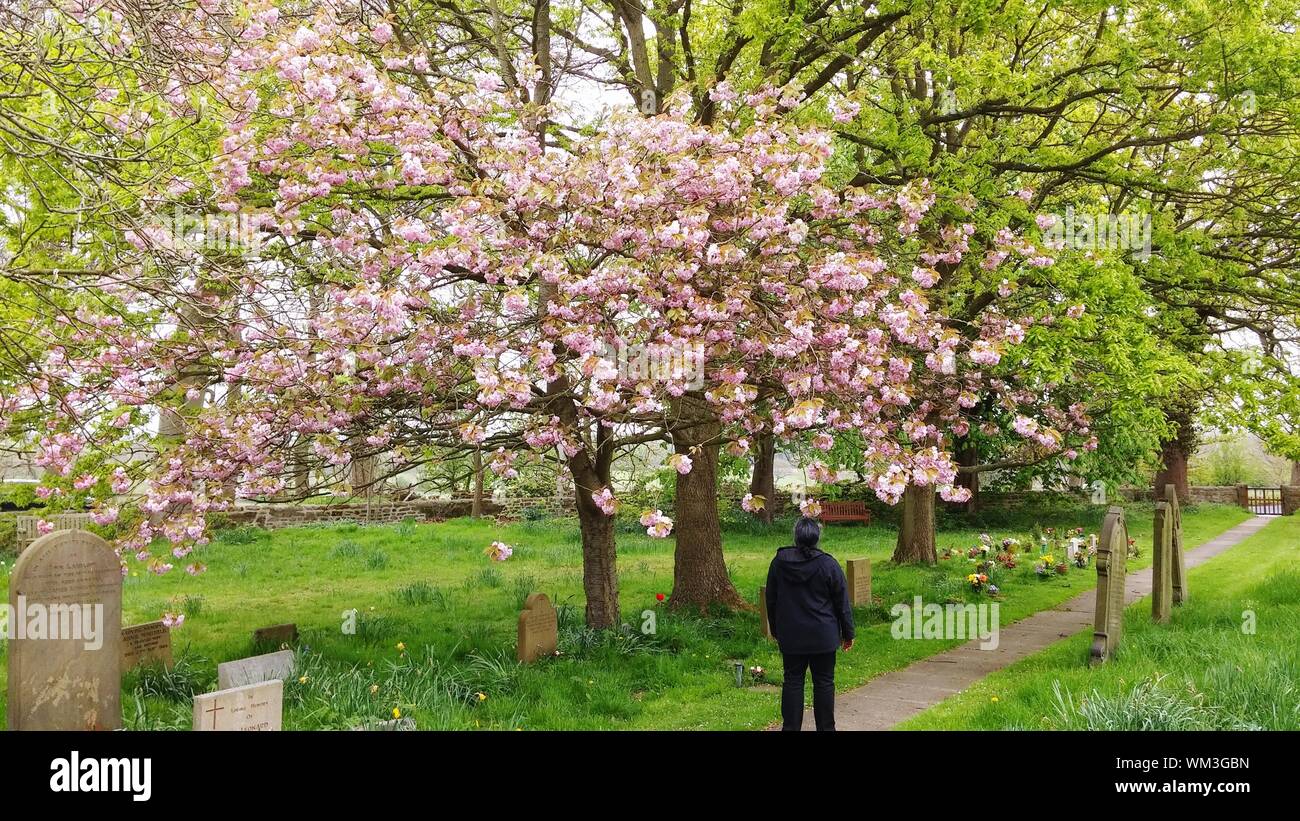Church St John Baptist Adel High Resolution Stock Photography and ...
