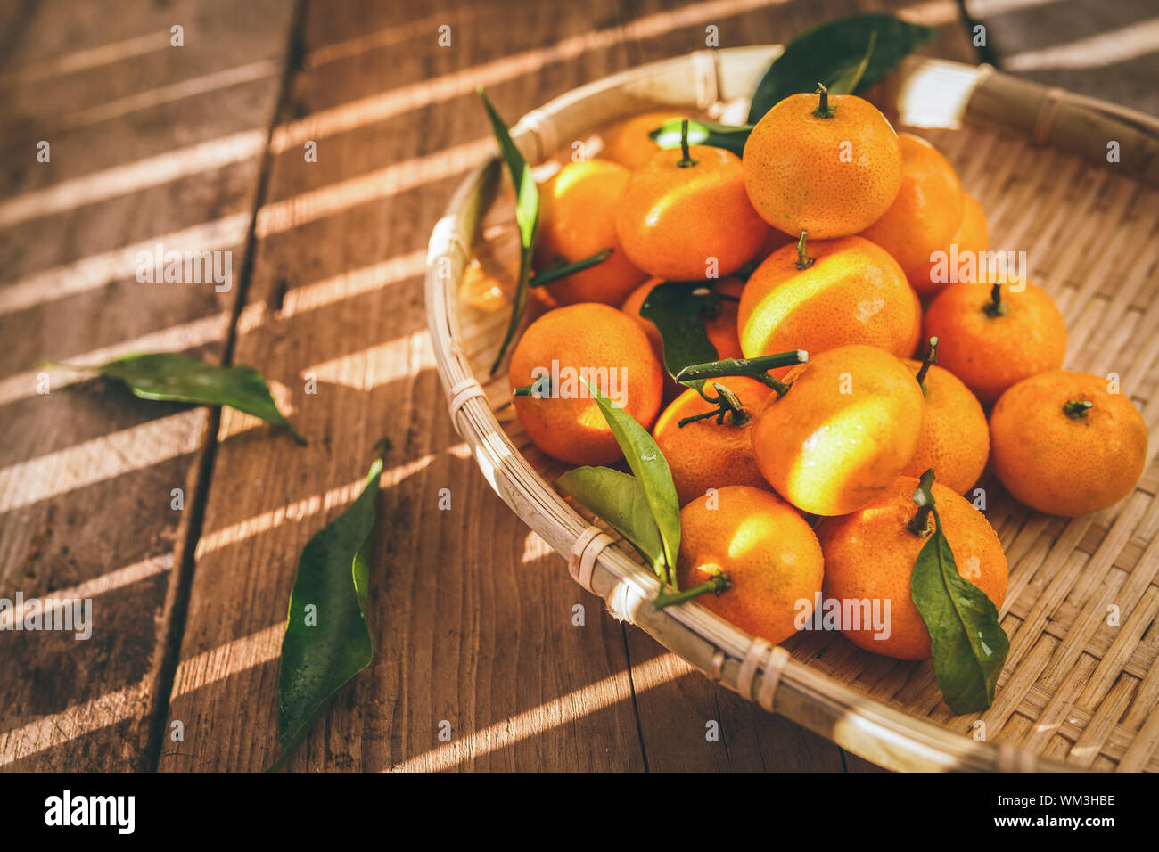 Stem with leaf hi-res stock photography and images - Alamy