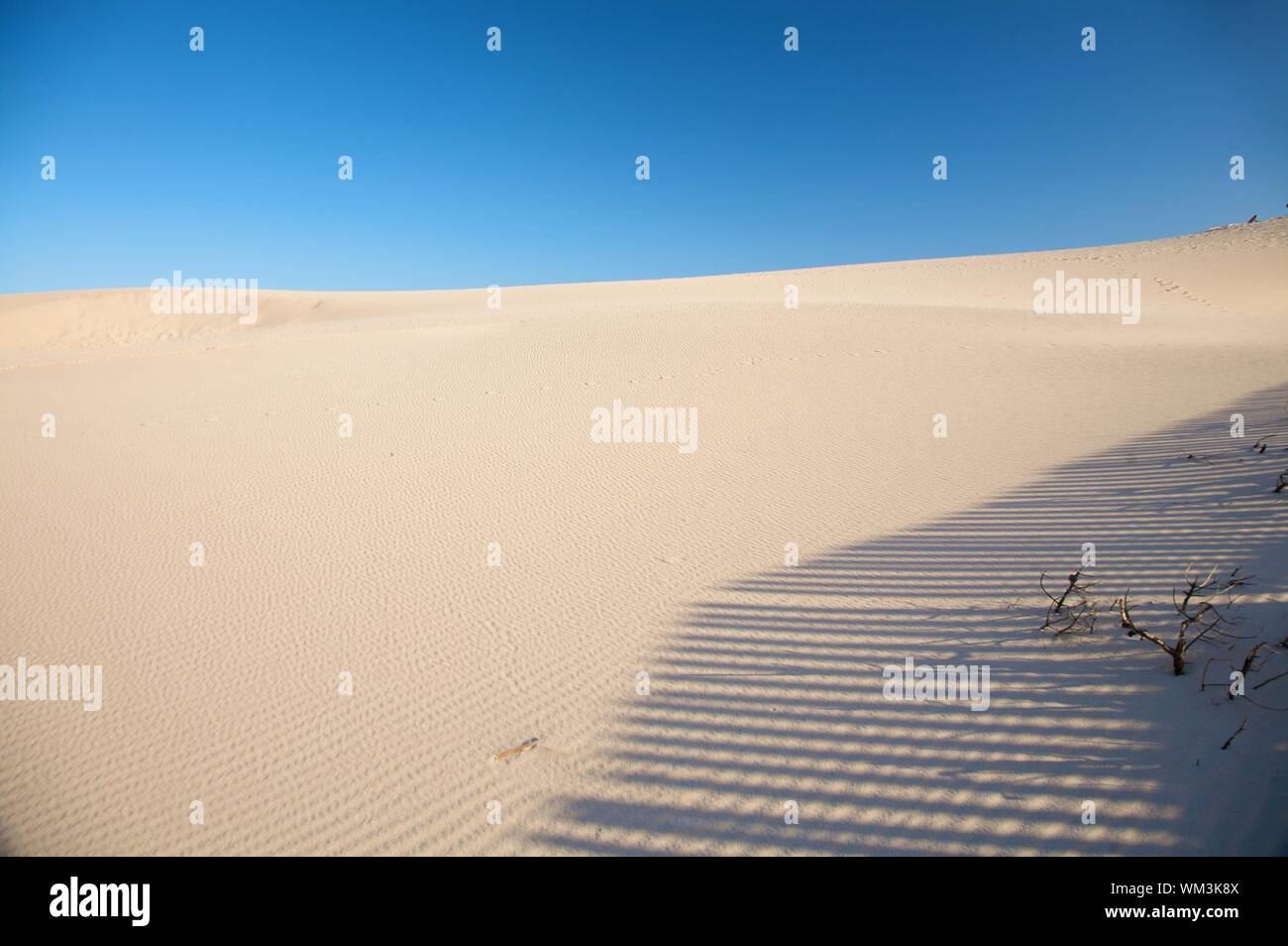 Valdevaqueros dune beach hi-res stock photography and images - Alamy
