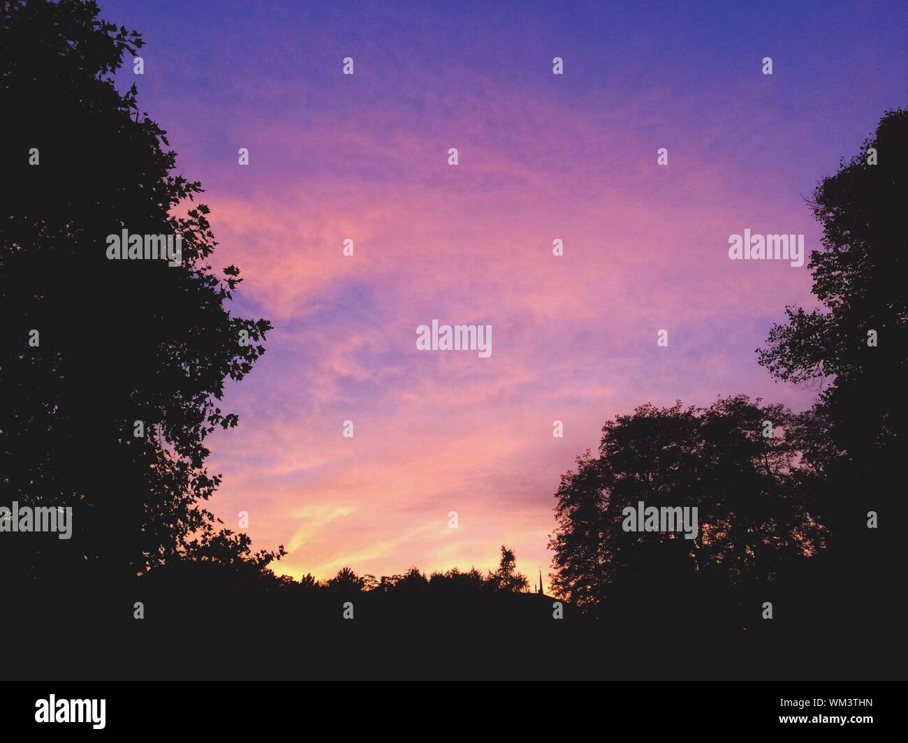 Over treetops hi-res stock photography and images - Alamy