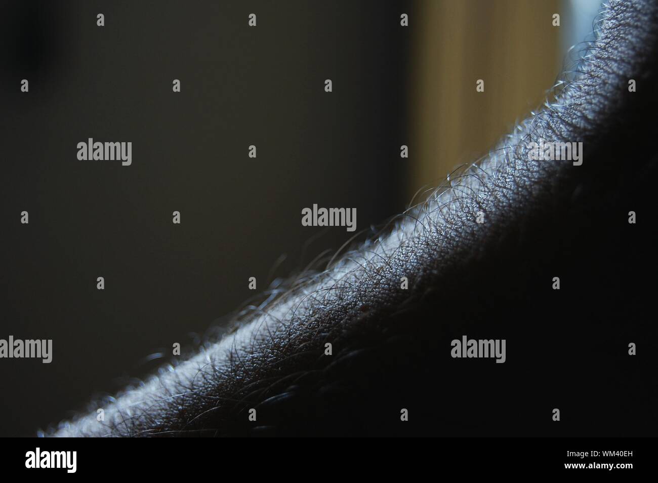 Human Body High Resolution Stock Photography and Images - Alamy