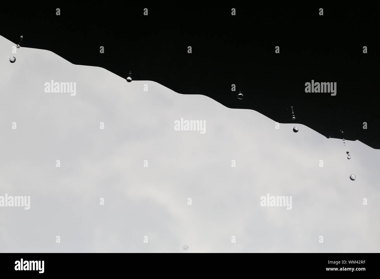 Dripping raindrops hi-res stock photography and images - Alamy