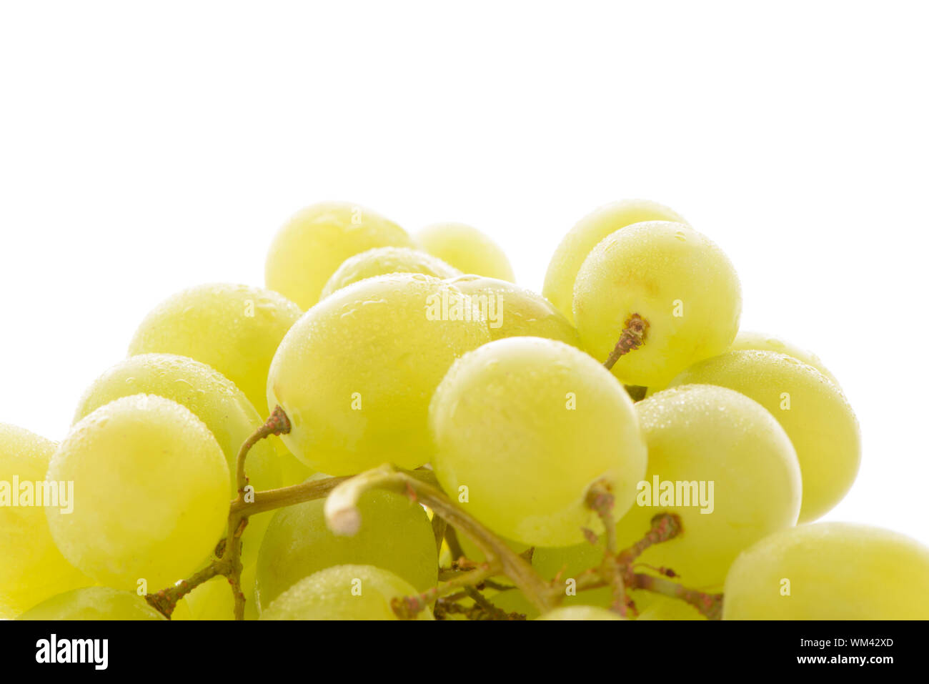 bunch of ripe and juicy green grapes close-up on a white background ...