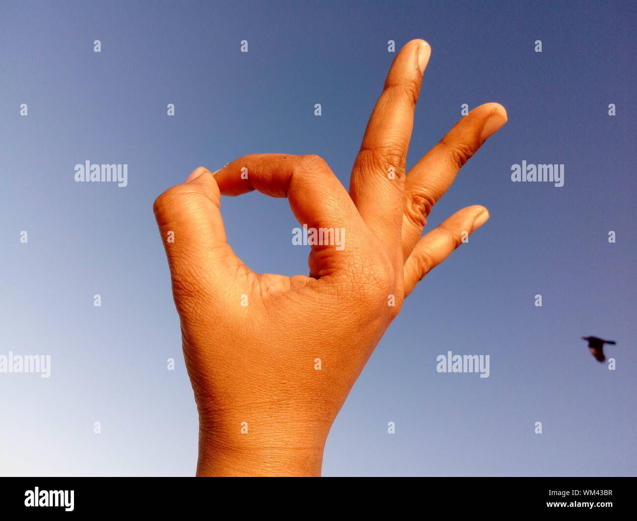 Human hand sign hi-res stock photography and images - Alamy