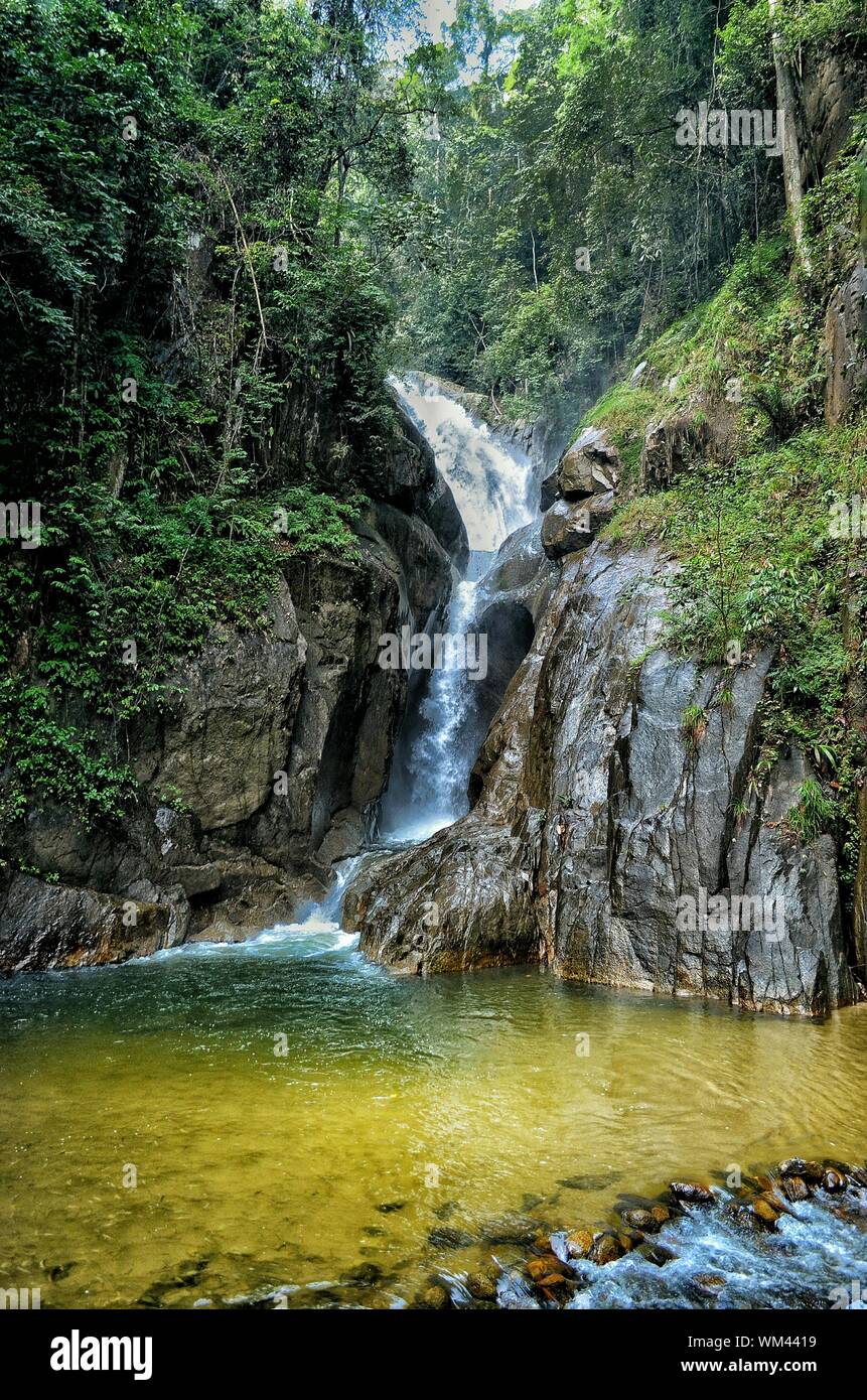 Chiling in nature hi-res stock photography and images - Alamy