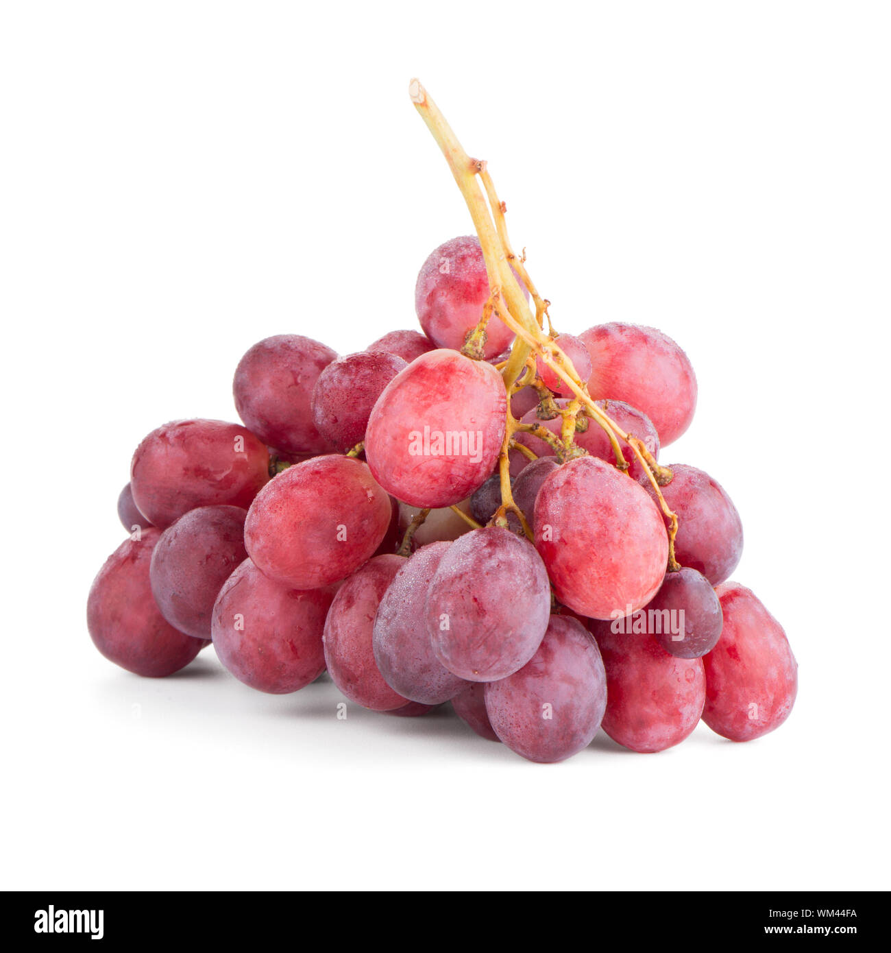 Bunch of red grapes , fresh with water drops. Isolated on white ...