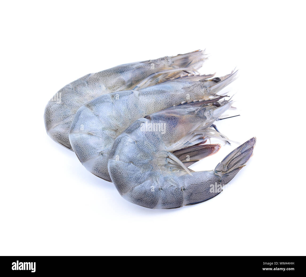 Gray Shrimp High Resolution Stock Photography and Images - Alamy