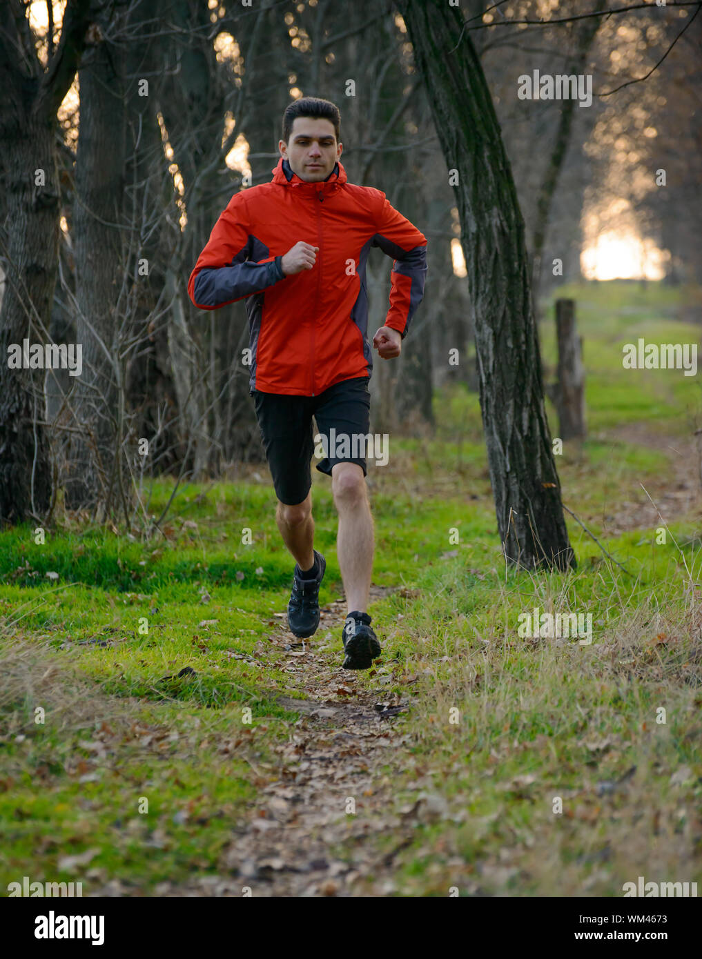 Young Man Running on the Trail in the Wild Forest. Active Lifestyle ...