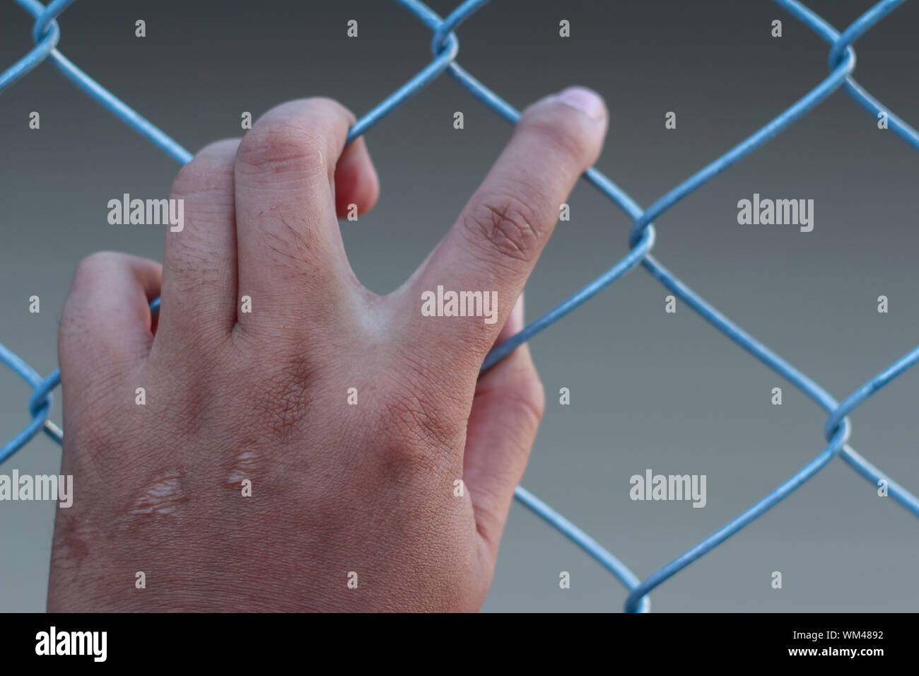 Hand fence chainlink fence hi-res stock photography and images - Alamy