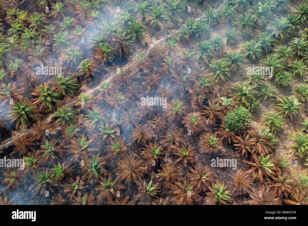 Rumbai pekanbaru hi-res stock photography and images - Alamy