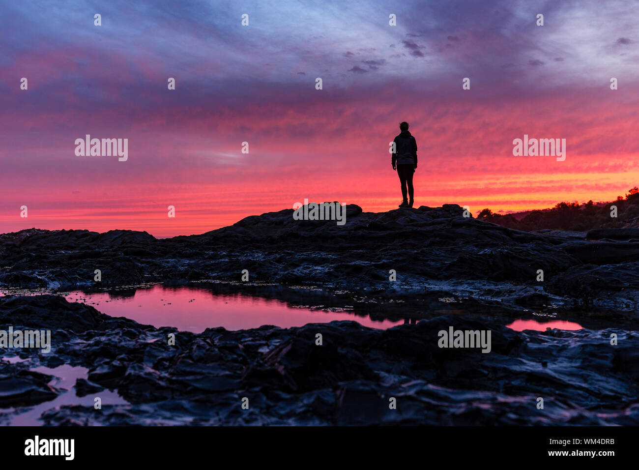 Mimosa rocks hi-res stock photography and images - Alamy