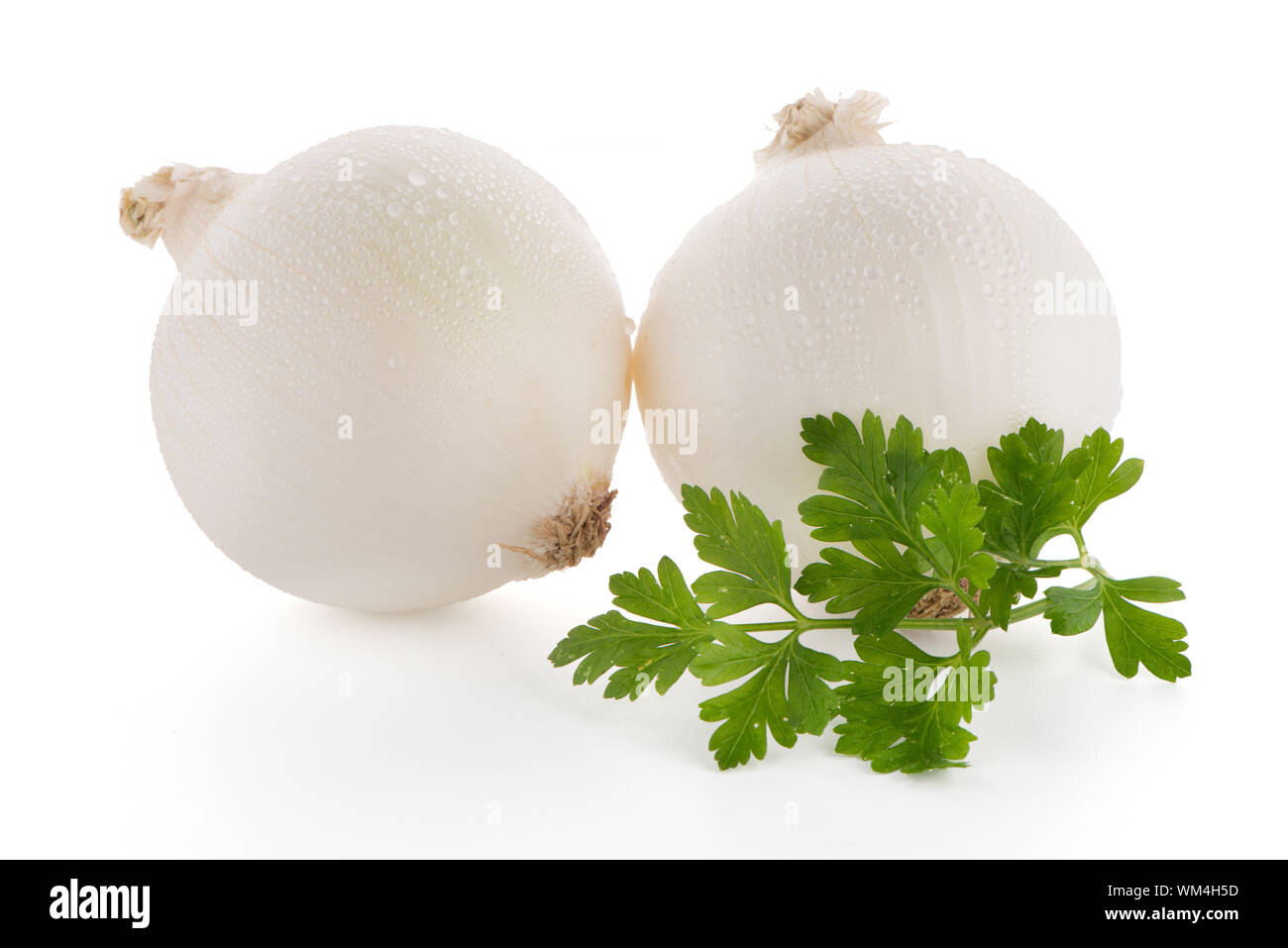 Two onions isolated on white background Stock Photo - Alamy