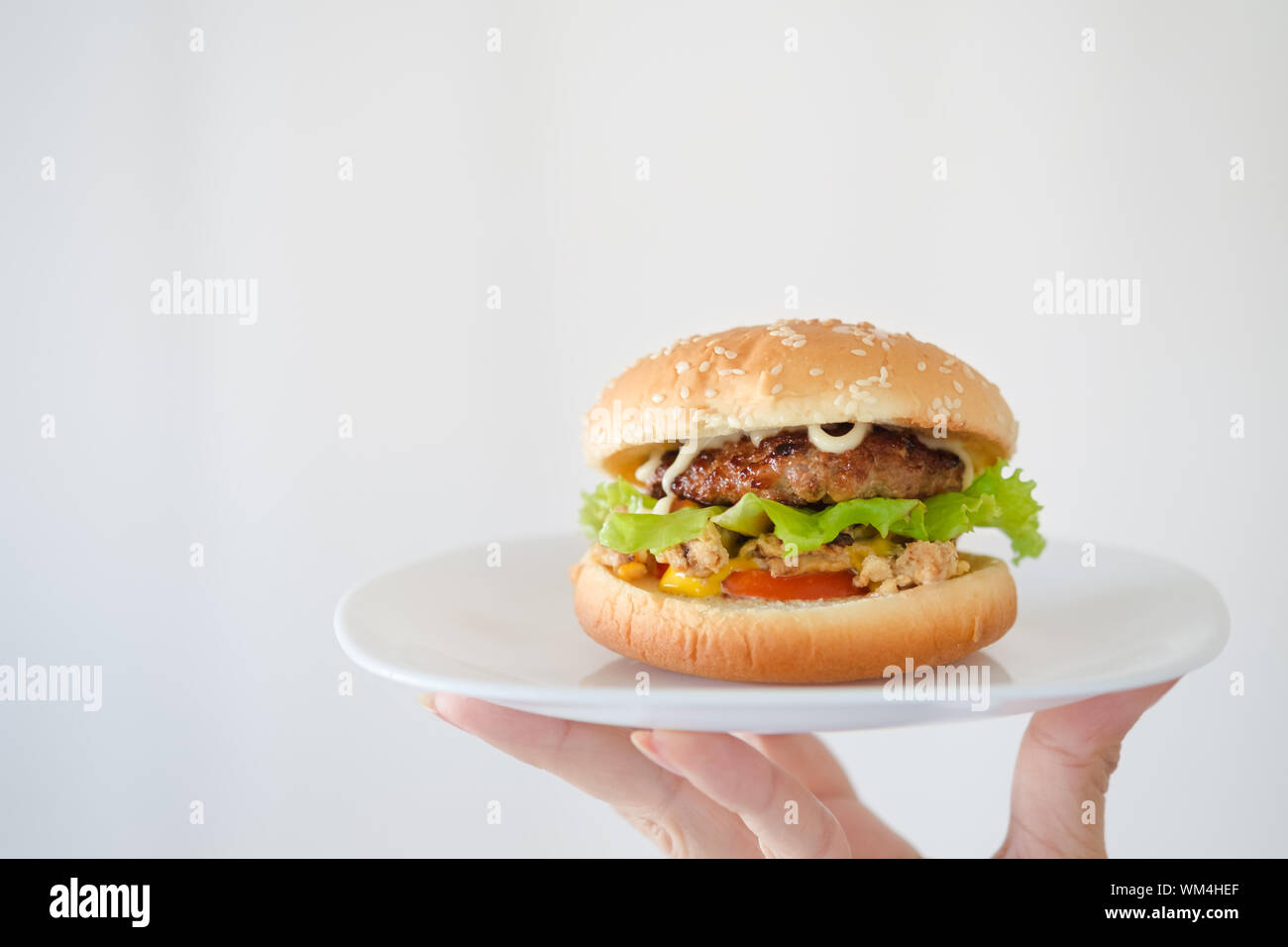 Hand holding hamburger meat lettuce hi-res stock photography and images ...