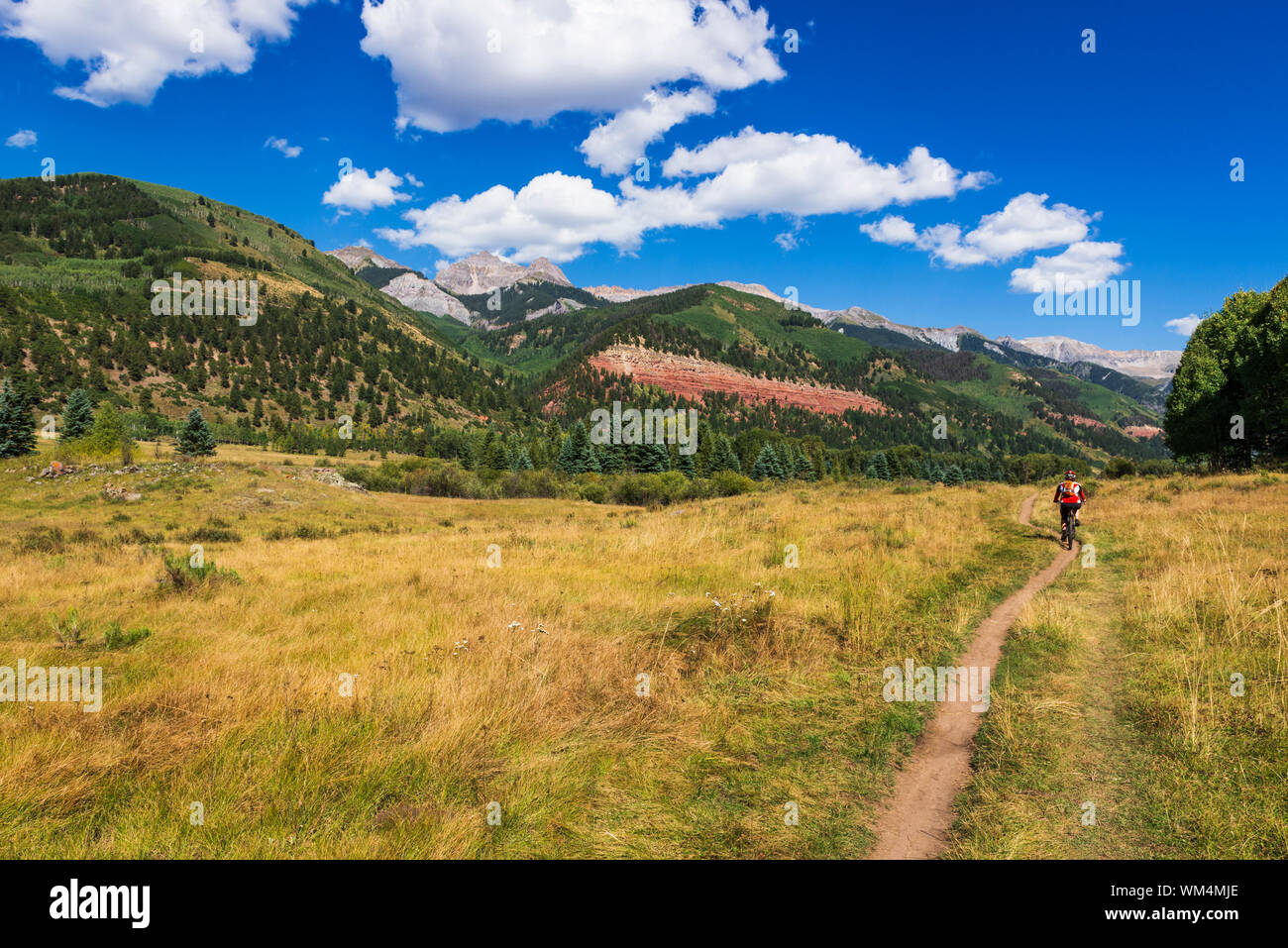 Mountain biker on the Galloping Goose Trail, Uncompahgre National ...