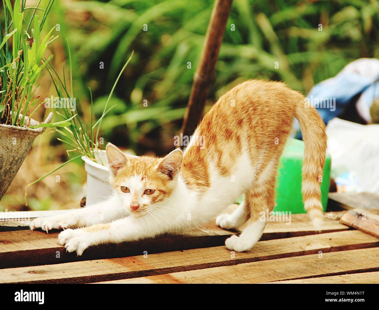 Table behavior hi-res stock photography and images - Alamy