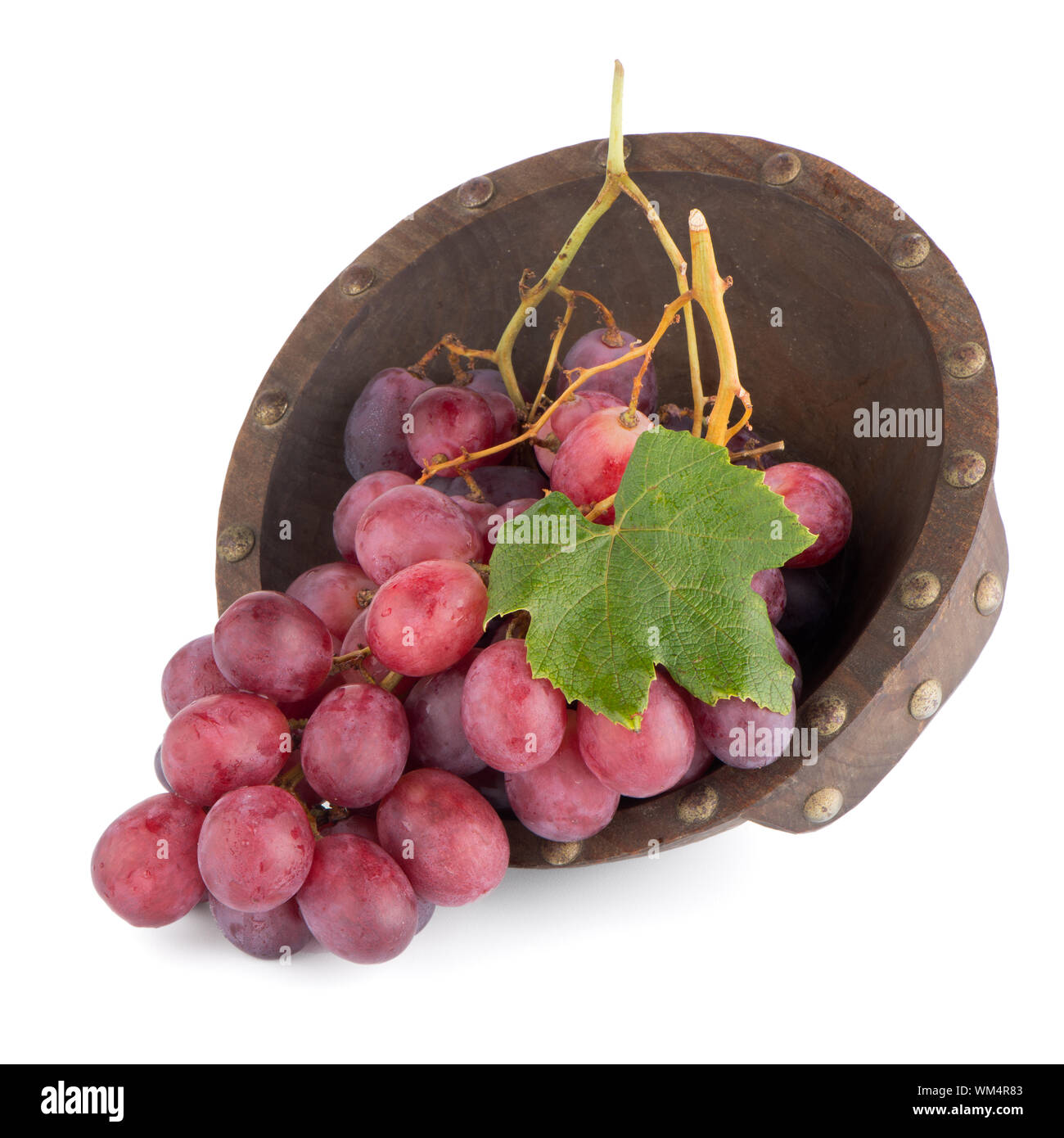 Full bown hi-res stock photography and images - Alamy