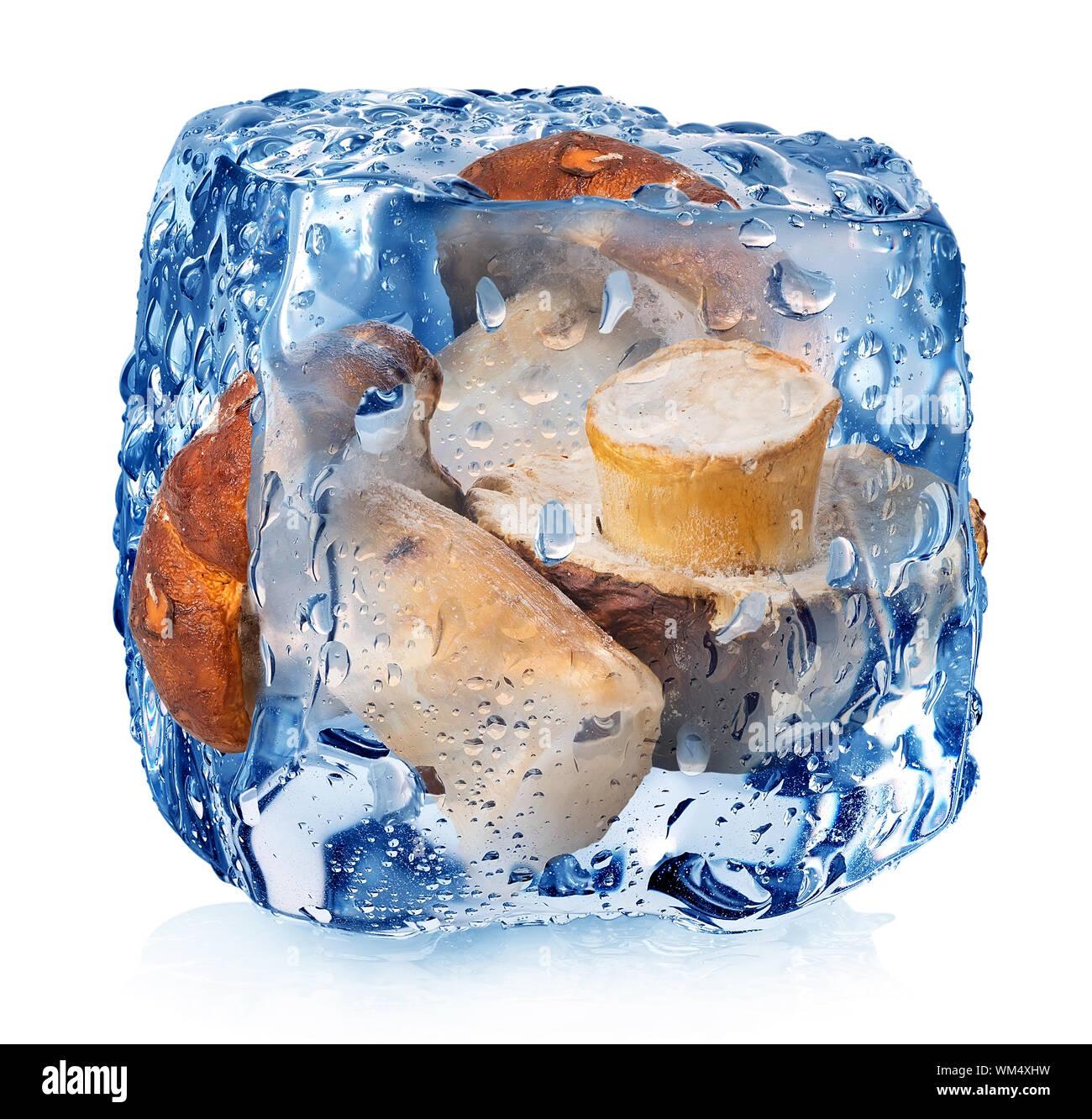Mushrooms in ice cube isolated on white Stock Photo - Alamy