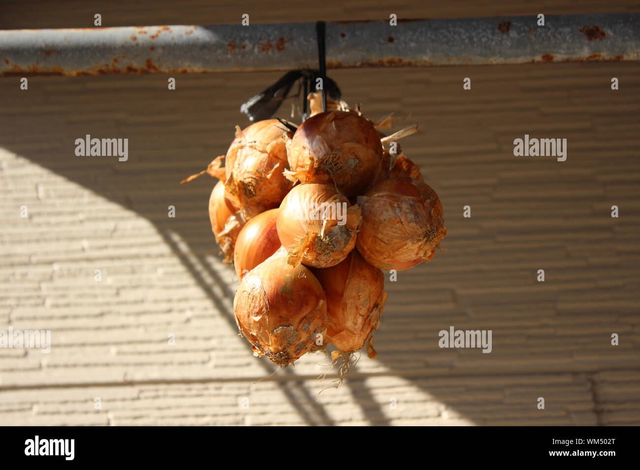 Hanging onions hi-res stock photography and images - Alamy