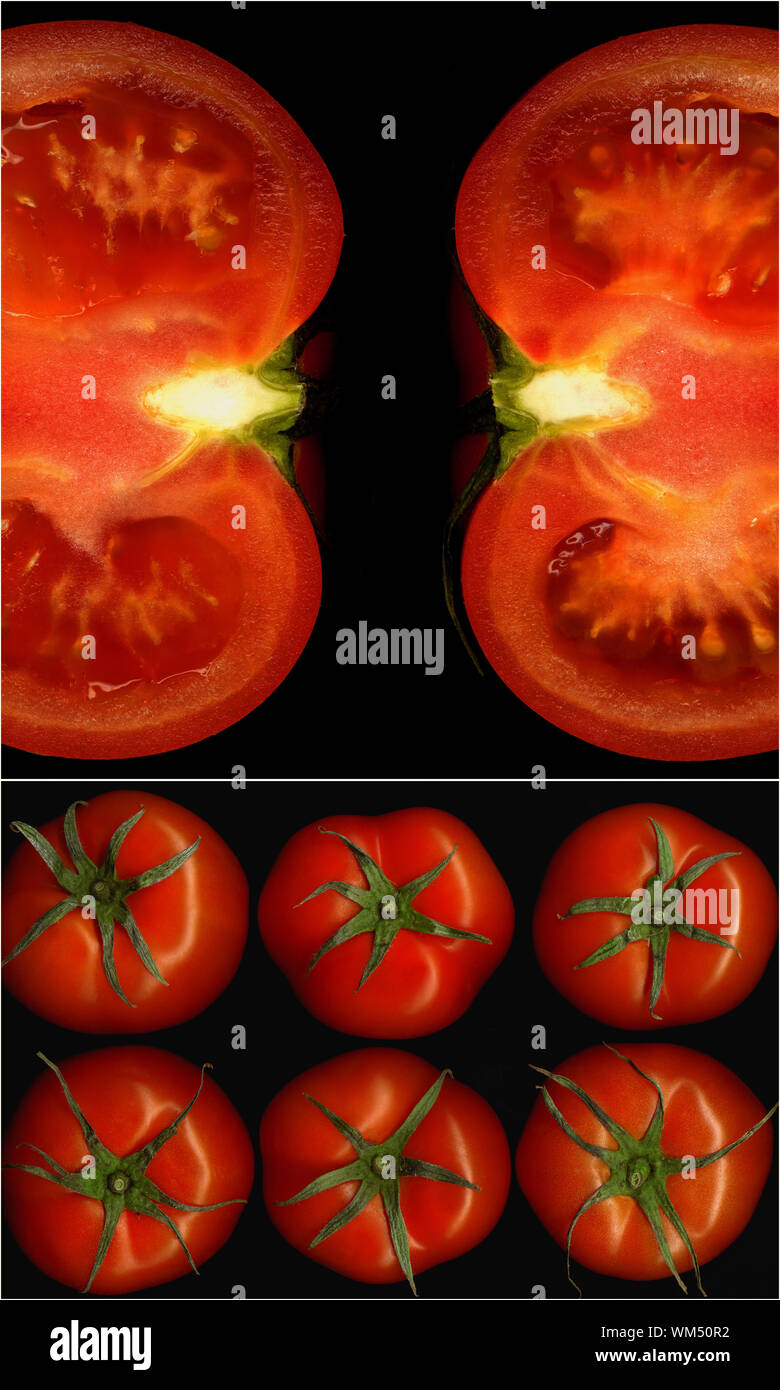 tomatoes collage composition nested on a black square frame Stock Photo ...