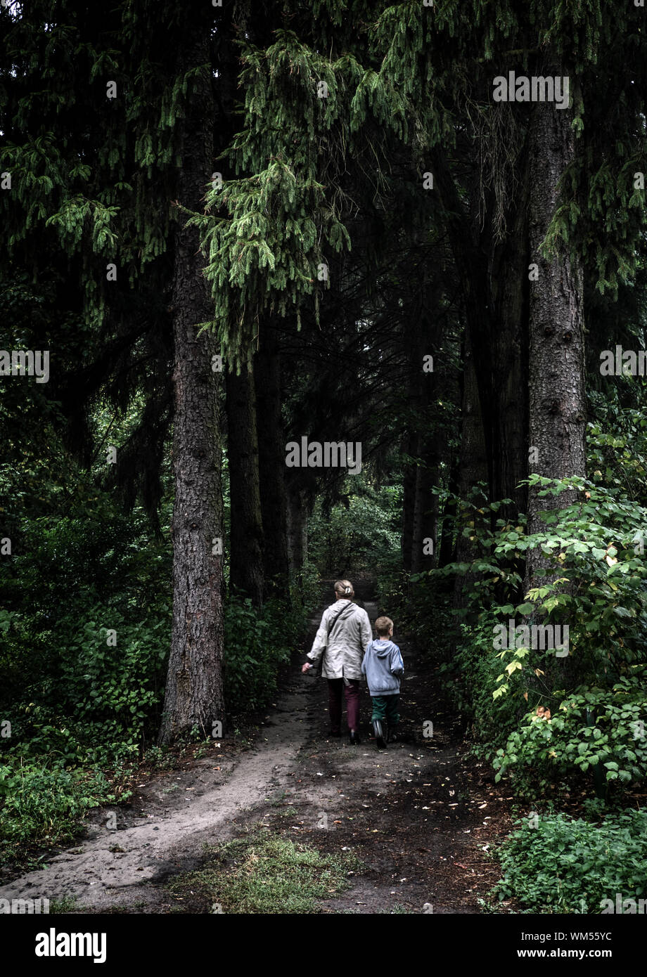 Boy walking on tree trunk hi-res stock photography and images - Alamy