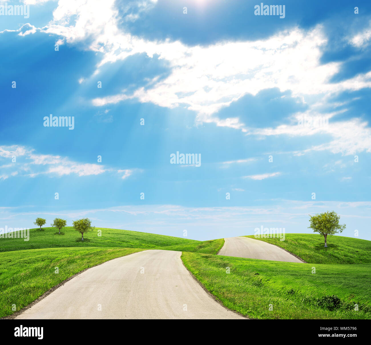 Road running through green hills with a few trees Stock Photo - Alamy