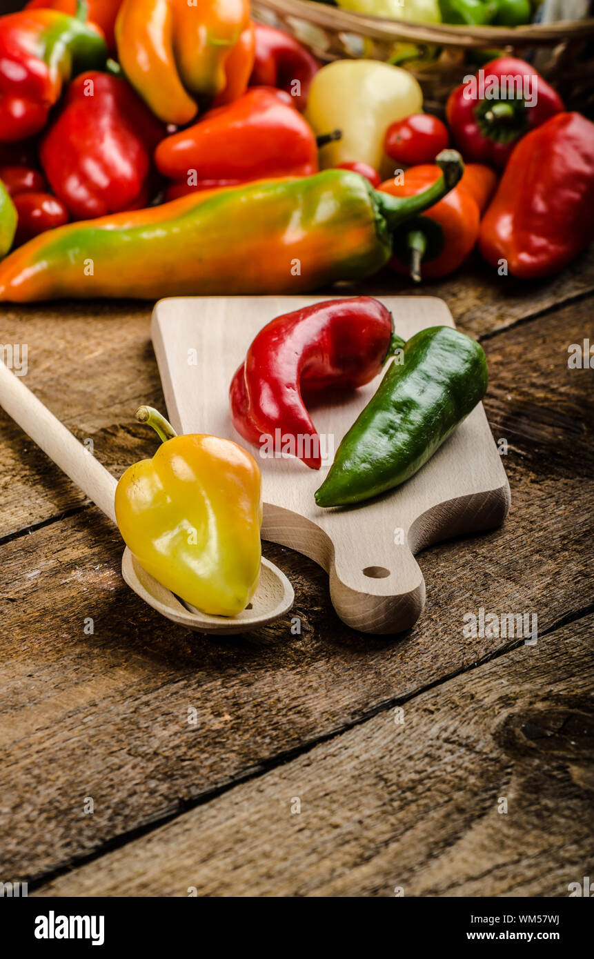 Bio peppers from the garden, various shapes and types Stock Photo - Alamy