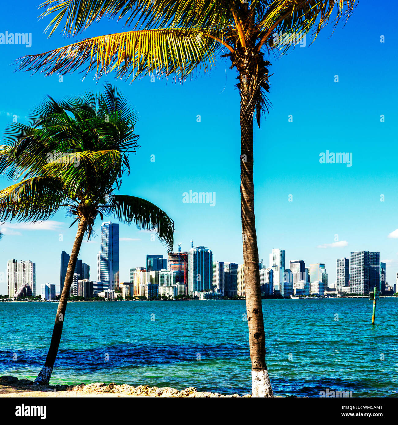 Miami Downtown skyline in daytime with Biscayne Bay Stock Photo - Alamy