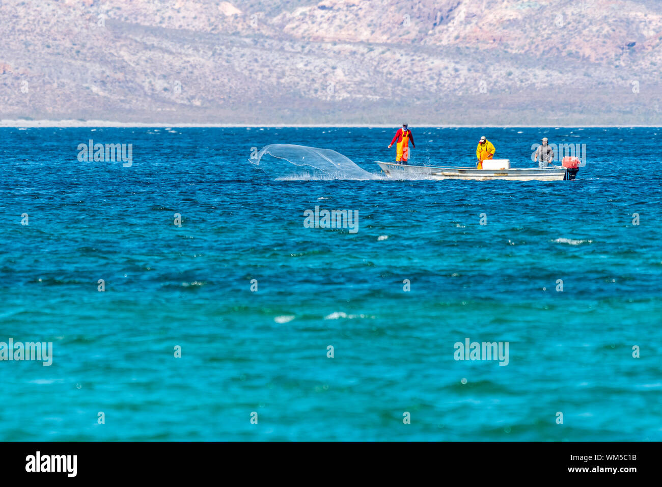 Fishermen in a small boat casting a fishing net in Baja California Sur ...
