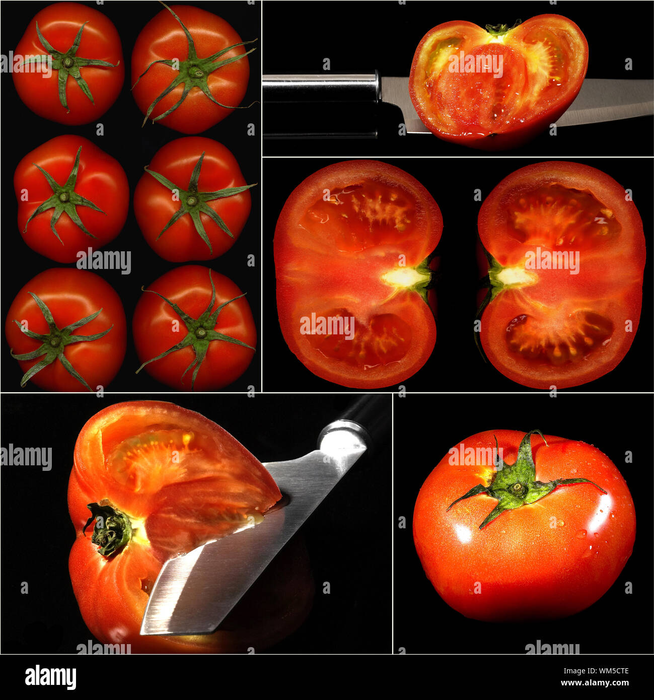 tomatoes collage composition nested on a black square frame Stock Photo ...