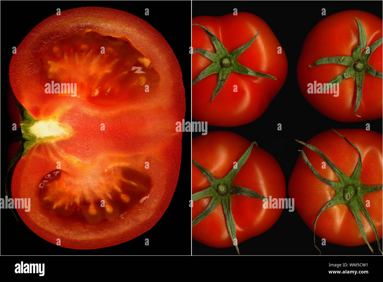 tomatoes collage composition nested on a black square frame Stock Photo ...