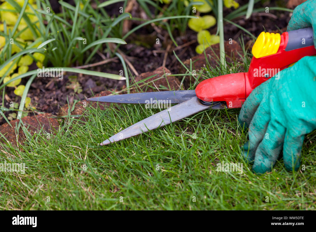 Trimming and edging tool hi-res stock photography and images - Alamy