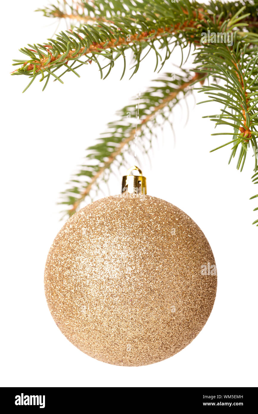 Traditional and shiny Christmas ball hanging from a branch of a green ...