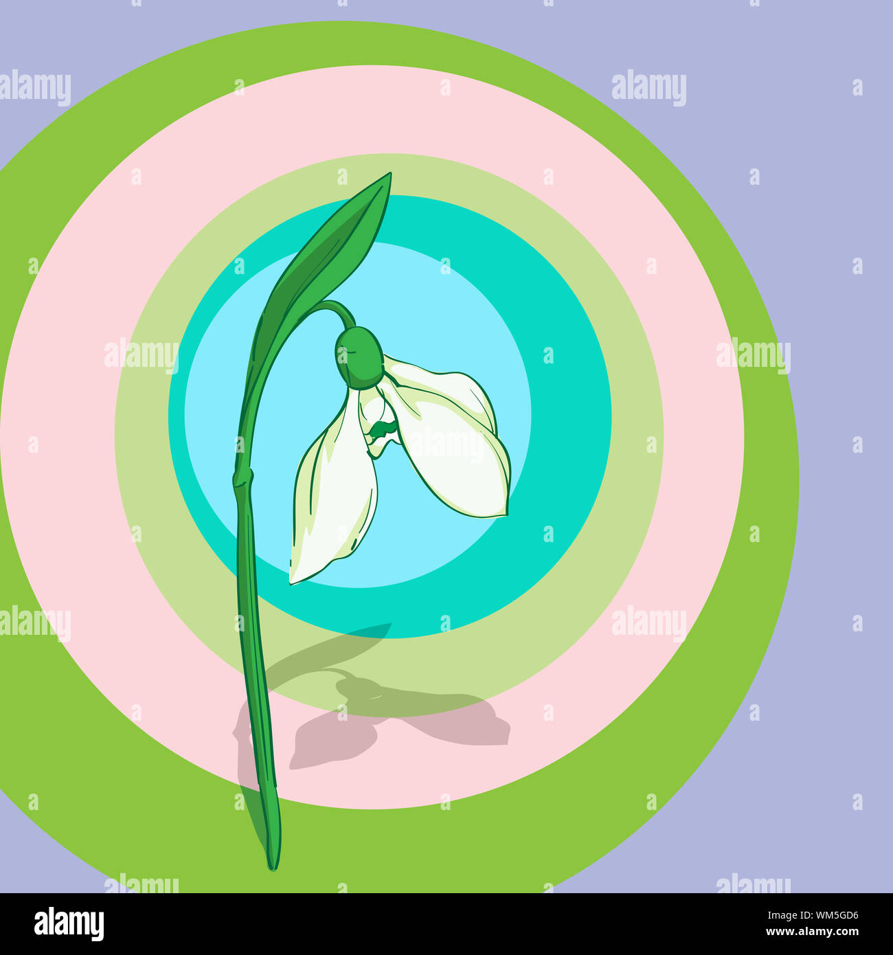 Snowdrop card, hand drawn cartoon illustration over a decorative ...