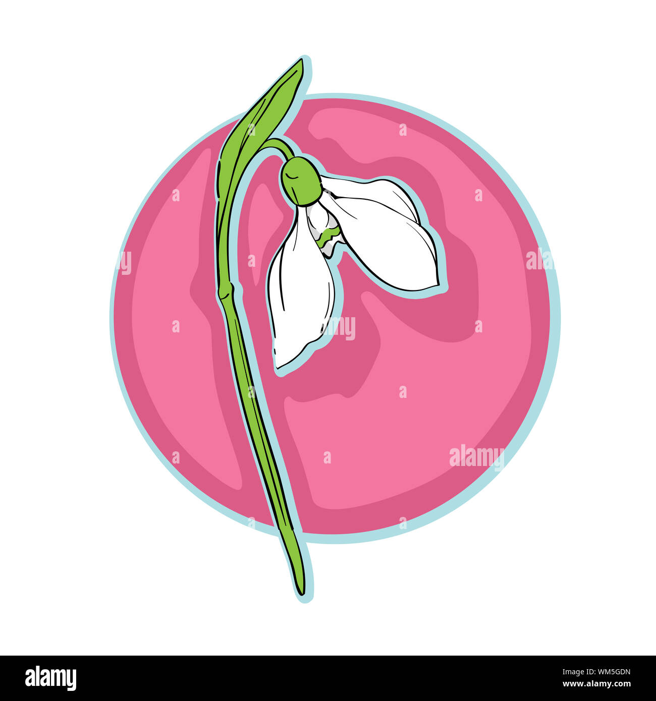 Snowdrop clip art, hand drawn cartoon illustration isolated on white ...