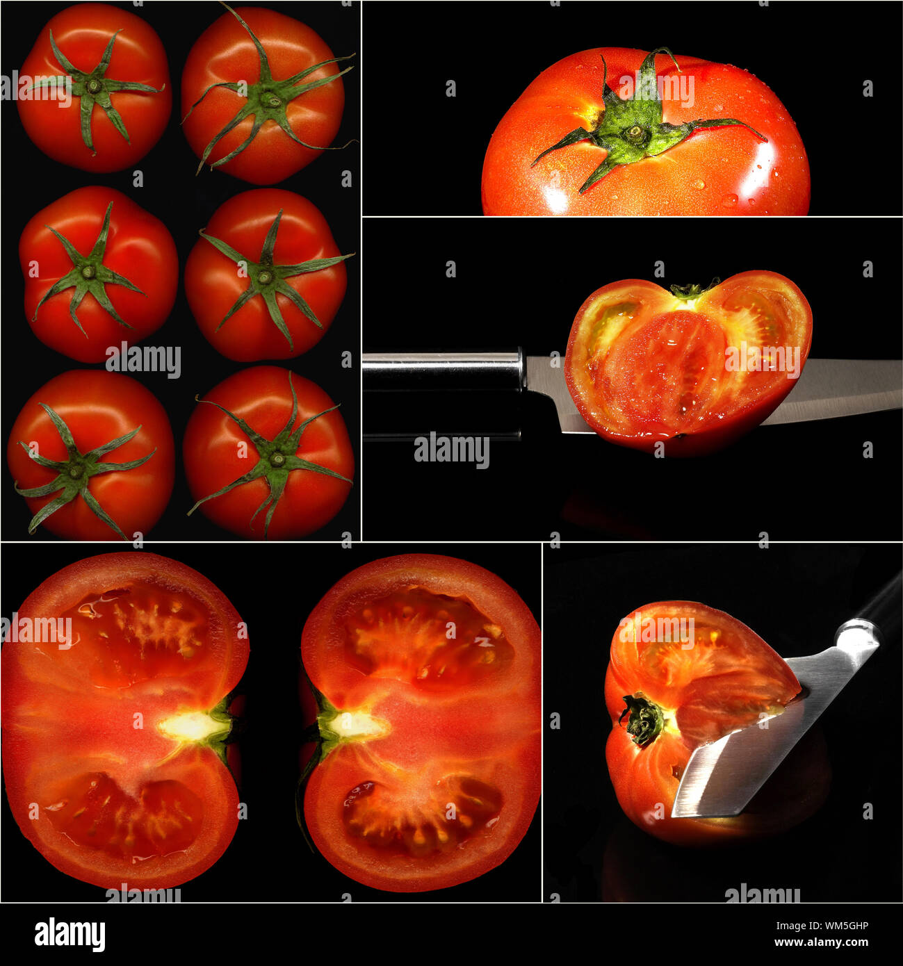 tomatoes collage composition nested on a black square frame Stock Photo ...