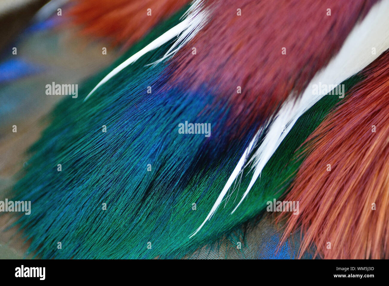 Colorful Mandarin Duck feathers, texture abstract background Stock ...