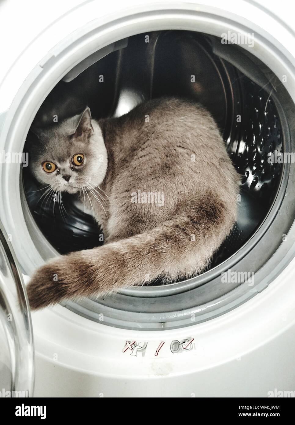 No washing machine hi-res stock photography and images - Alamy