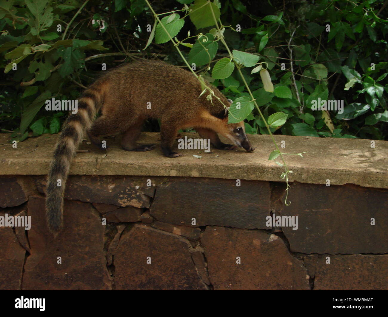 Wild Animal Fence High Resolution Stock Photography and Images - Alamy