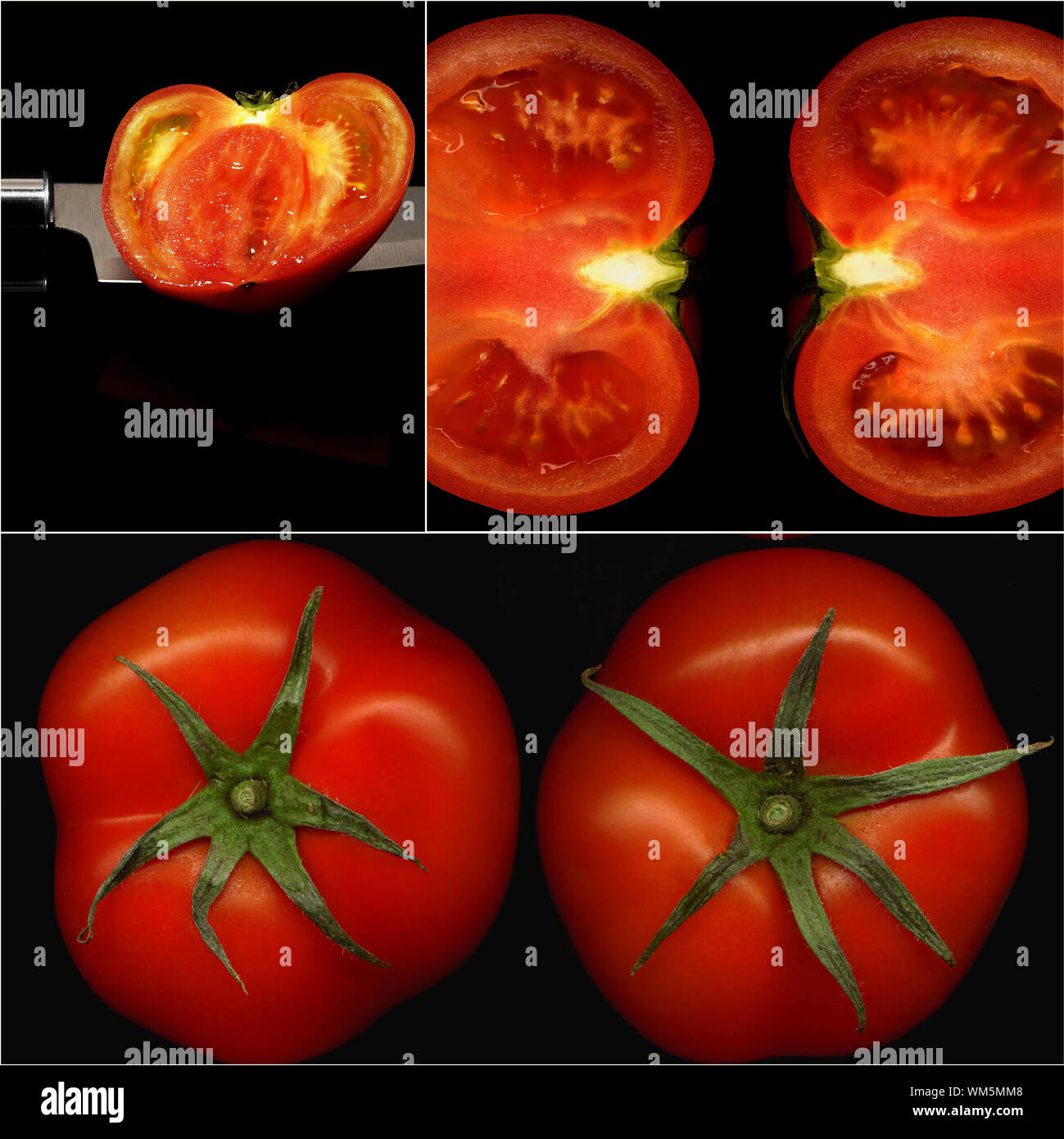 tomatoes collage composition nested on a black square frame Stock Photo ...