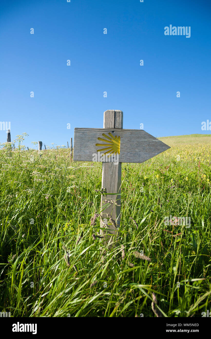 wood arrow signpost with public Middle Ages symbol of Camino de ...