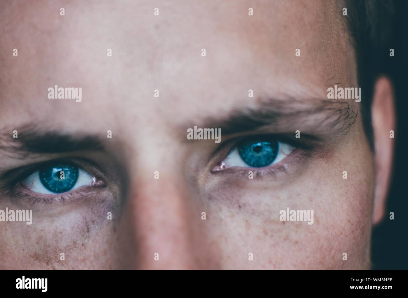 Man blue eyes freckles close up hi-res stock photography and images - Alamy