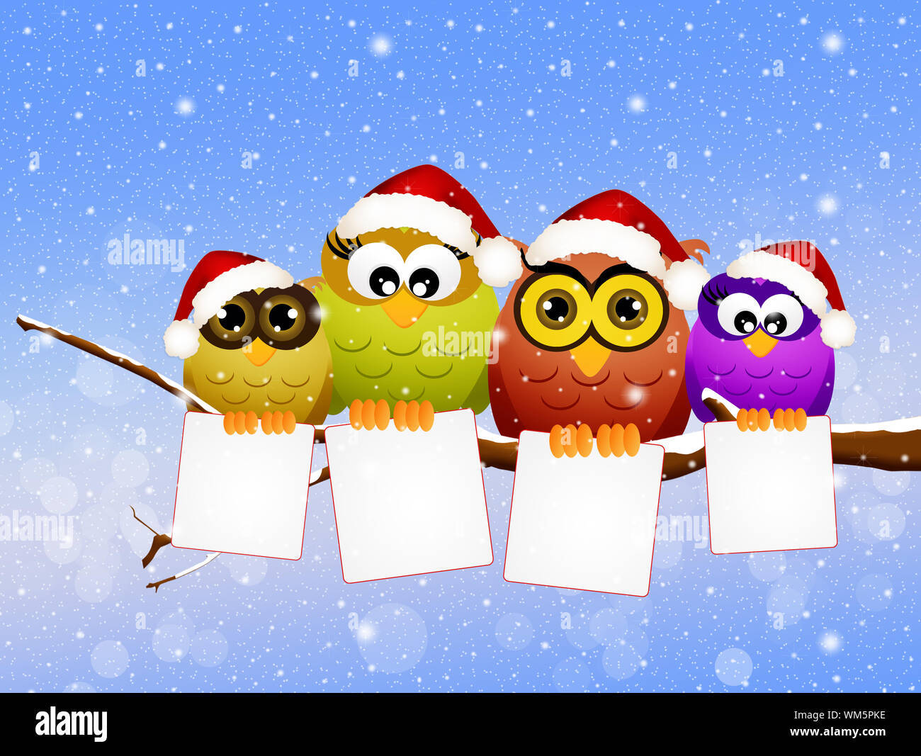 owls at Christmas Stock Photo - Alamy