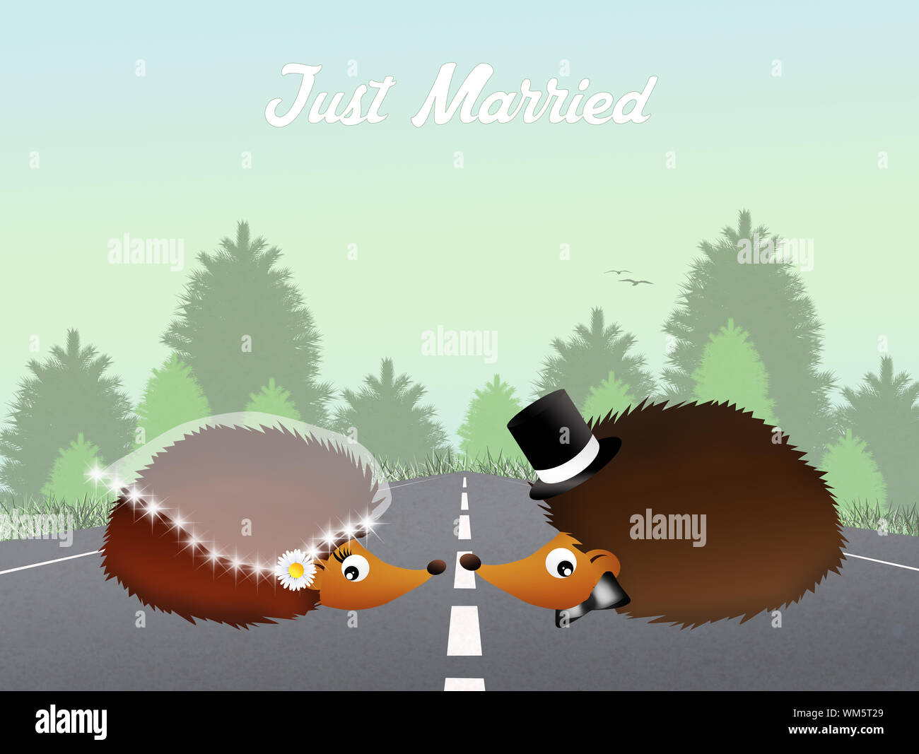 hedgehogs in love Stock Photo - Alamy
