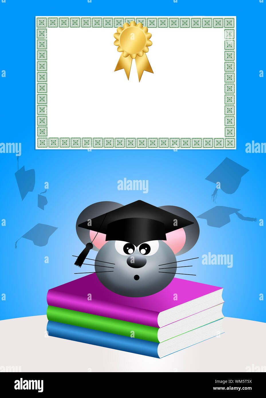 Degree Diploma High Resolution Stock Photography and Images - Alamy