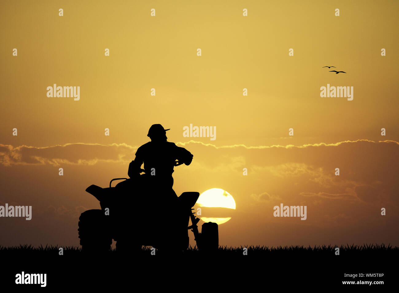 Man on the quad Stock Photo - Alamy