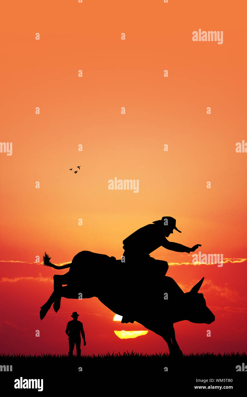 Bull ride silhouette hi-res stock photography and images - Alamy