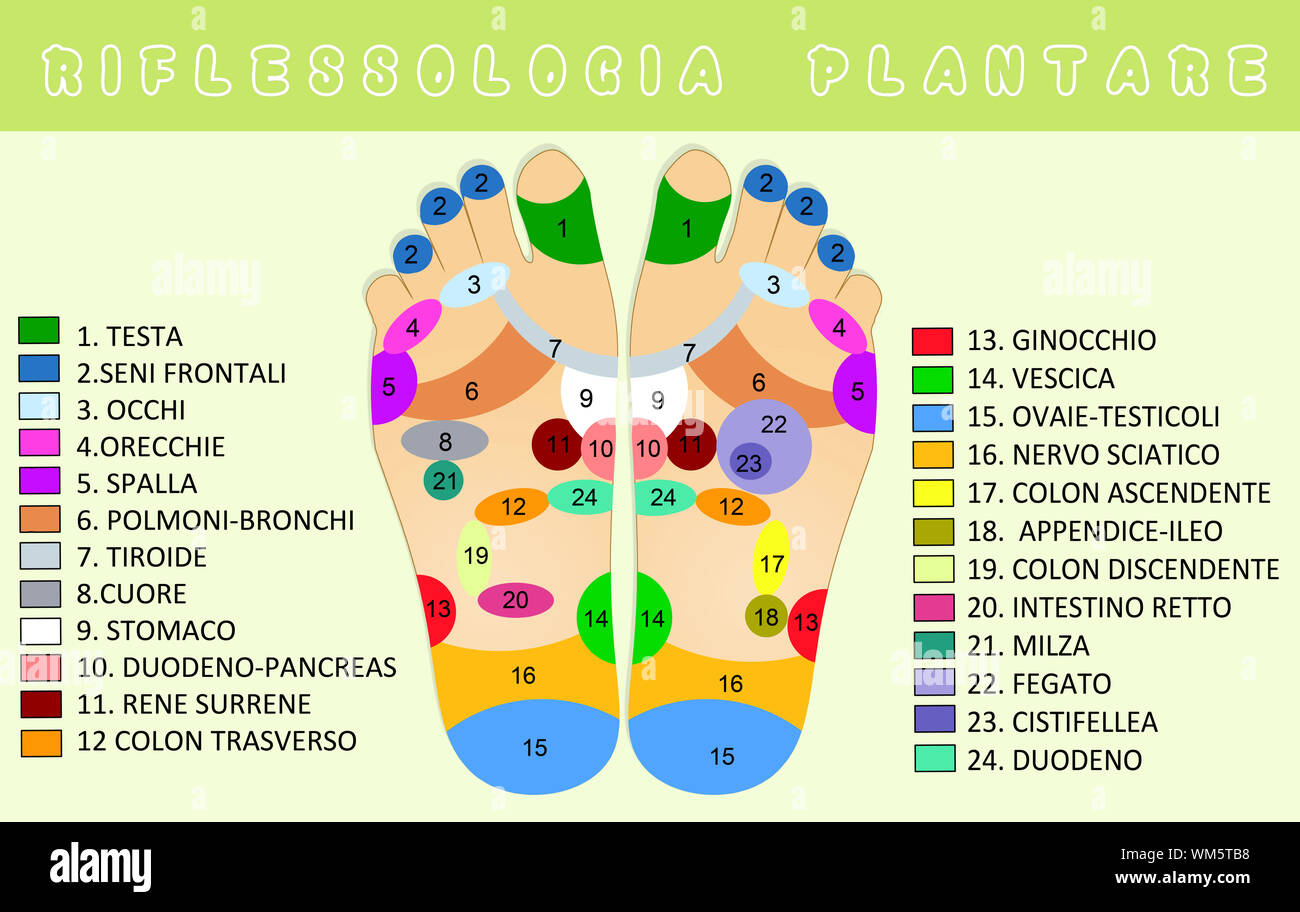 Ascending colon hi-res stock photography and images - Alamy