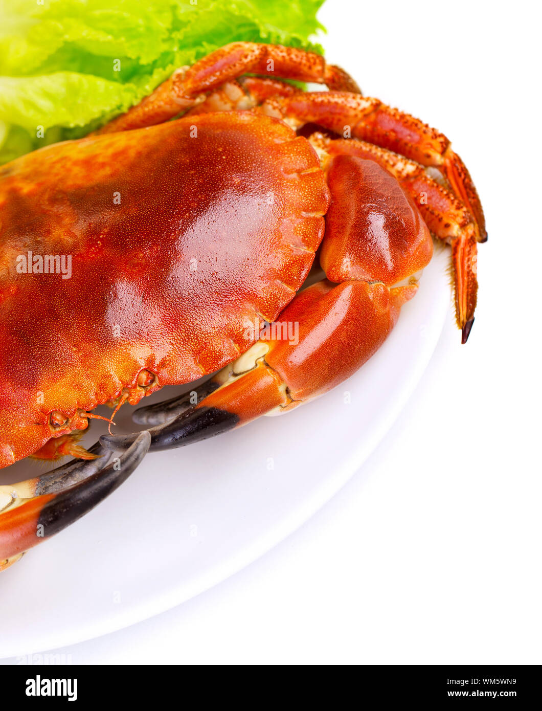 Crab claw cooked hi-res stock photography and images - Alamy